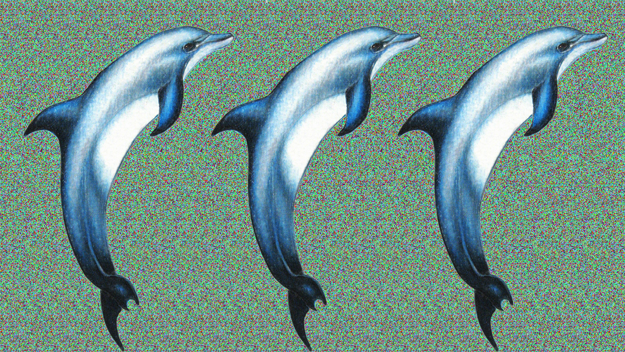 Make Your Own Magic Eyes Right Inside A Browser ANIMAL Make Your Own Magic Eyes Right Inside A Browser ANIMAL